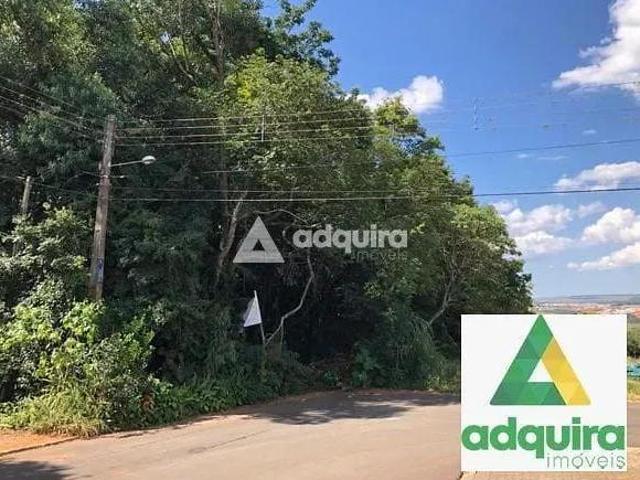 Terreno em Oficinas, Ponta Grossa/PR de 10m² à venda por R$ 1.500.000,00