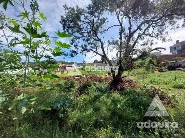 Terreno em Oficinas, Ponta Grossa/PR de 10m² à venda por R$ 270.000,00