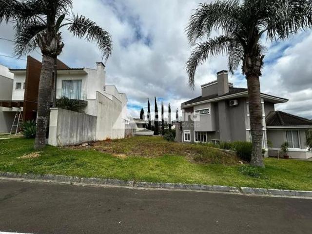 Terreno em Oficinas, Ponta Grossa/PR de 300m² à venda por R$ 335.000,00