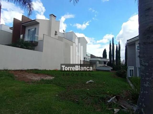 Terreno em Oficinas, Ponta Grossa/PR de 300m² à venda por R$ 360.000,00