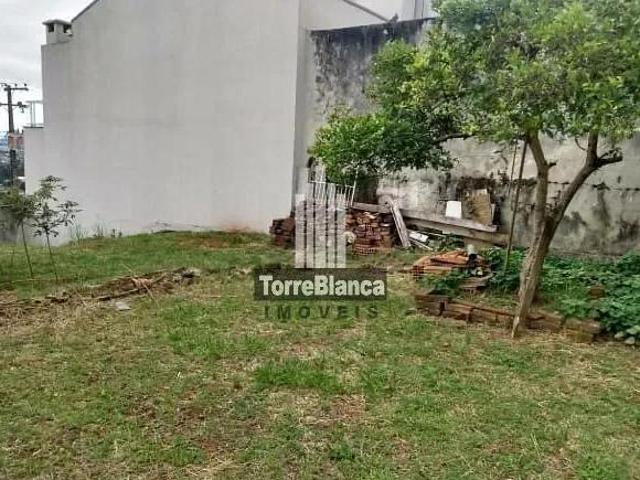 Terreno em Olarias, Ponta Grossa/PR de 10m² à venda por R$ 350.000,00