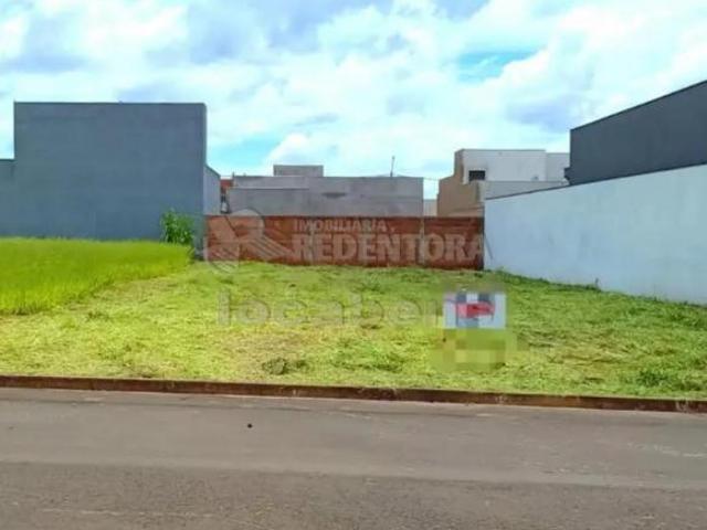 Terreno em Olímpia/SP Localização Privilegiada com Frente para Avenida