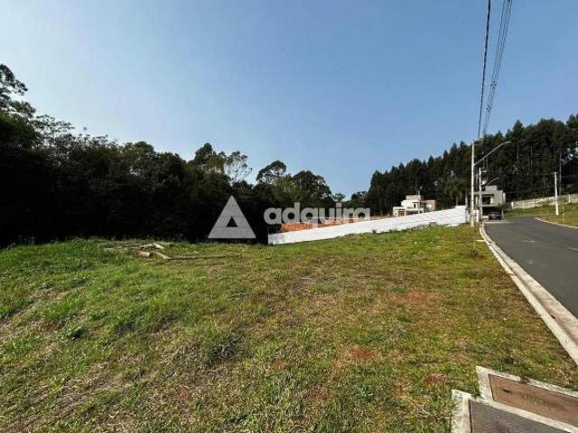 Terreno em Orfãs, Ponta Grossa/PR de 10m² à venda por R$ 245.000,00