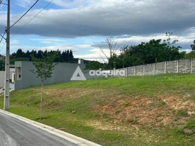 Terreno em Orfãs, Ponta Grossa/PR de 10m² à venda por R$ 261.250,00