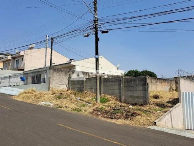 Terreno em Orfãs, Ponta Grossa/PR de 10m² à venda por R$ 300.000,00