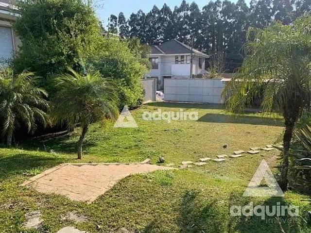 Terreno em Orfãs, Ponta Grossa/PR de 528m² à venda por R$ 950.000,00