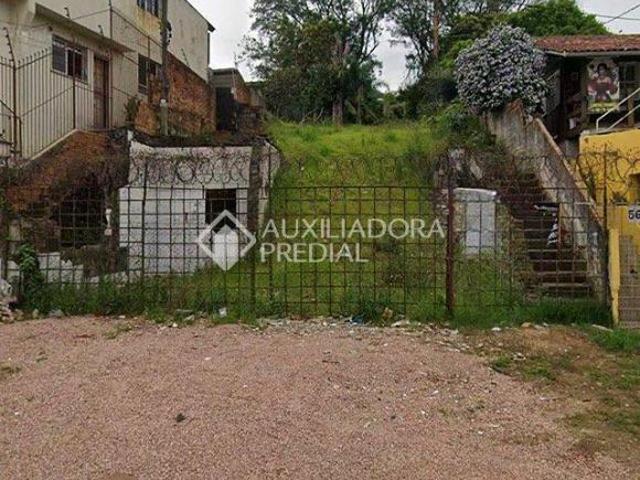 Terreno em Avenida de Grande Fluxo | Potencial Comercial e Residencial