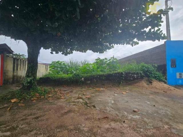 Terreno em avenida principal a venda Peruíbe/SP