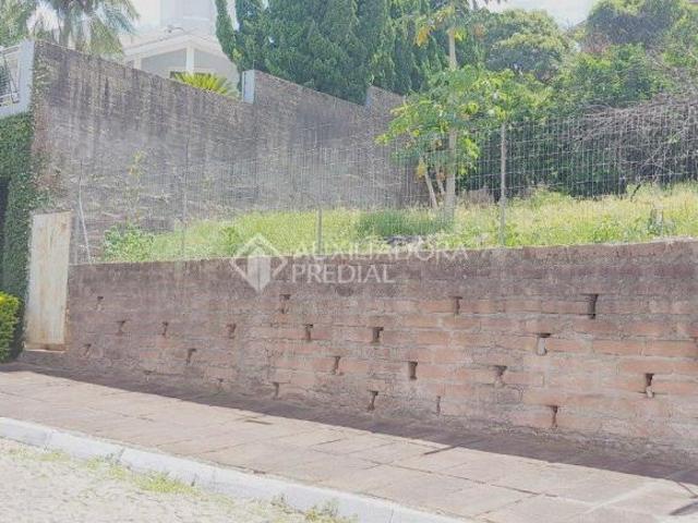 Terreno em aclive acima do nível da rua no Bairro Primavera, frente para sol da manhã