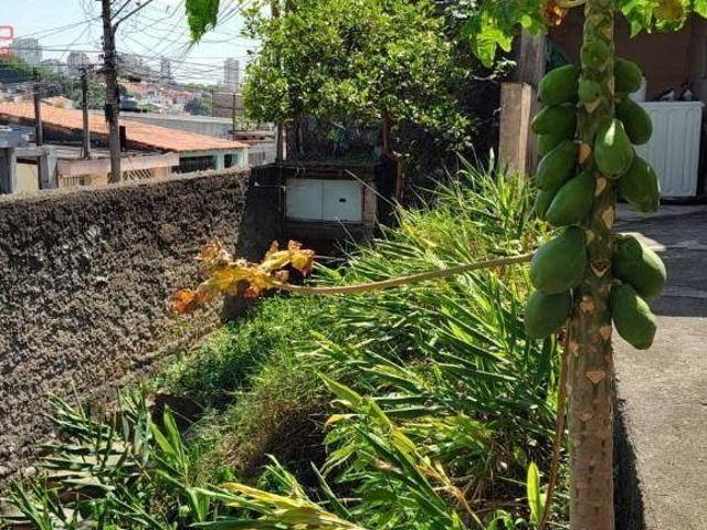 TERRENO EM ACLIVE, FÁCIL ACESSO AO METRÔ JABAQUARA, 220 m² Jardim Oriental São Paulo/SP TE0045