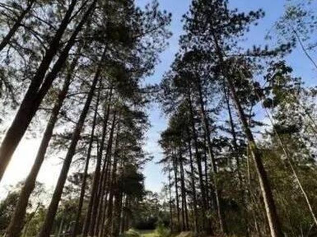 Terreno em Água Azul, Guarulhos/SP de 75000m² à venda por R$ 2.350.000,00