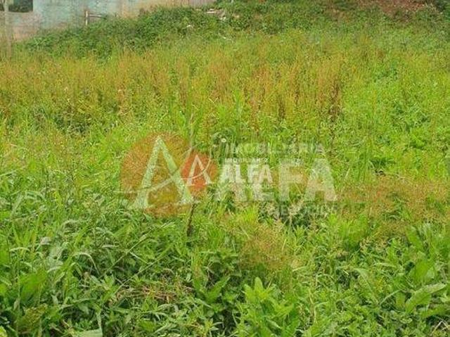 Terreno em Água Espraiada Caucaia do Alto, Cotia/SP de 150m² à venda por R$ 53.000,00