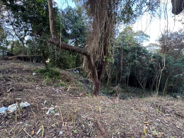 Terreno em Algarve, Cotia/SP de 0m² à venda por R$ 489.900,00
