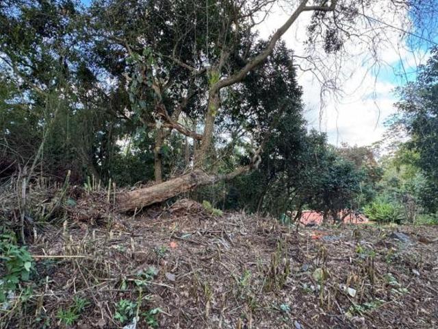 Terreno em Algarve, Cotia/SP de 0m² à venda por R$ 490.000,00
