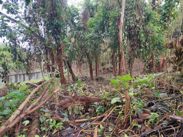 Terreno em Algarve, Cotia/SP de 0m² à venda por R$ 599.000,00