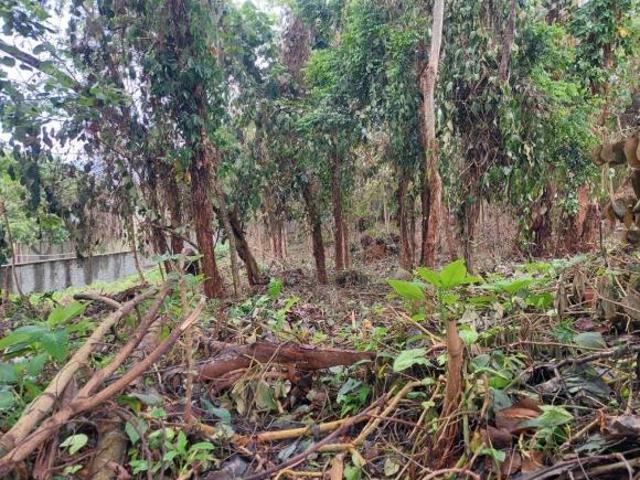 Terreno em Algarve, Cotia/SP de 0m² à venda por R$ 600.000,00