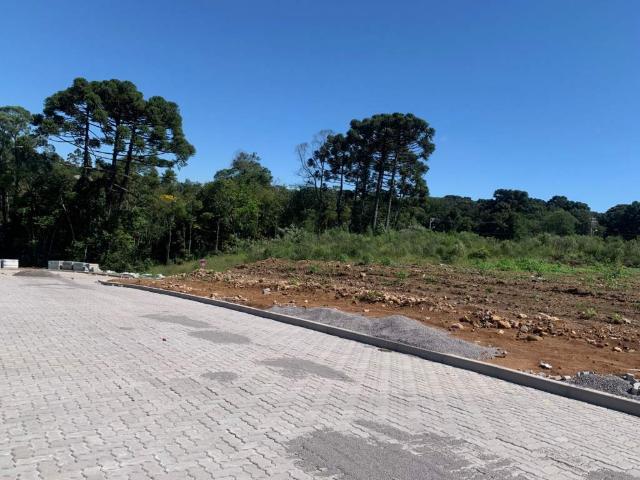Terreno em Alfândega, Garibaldi/RS de 547m² à venda por R$ 349.000,00