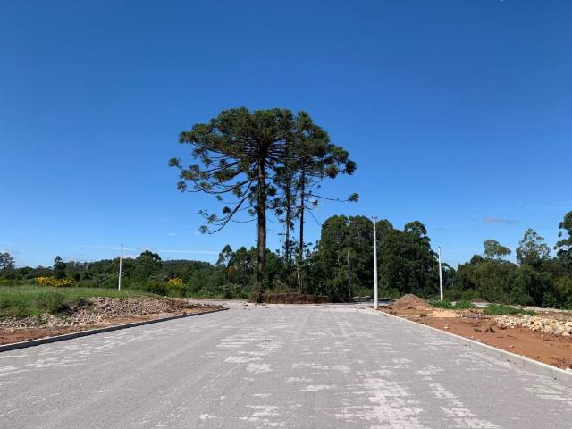 Terreno em Alfândega, Garibaldi/RS de 919m² à venda por R$ 398.000,00