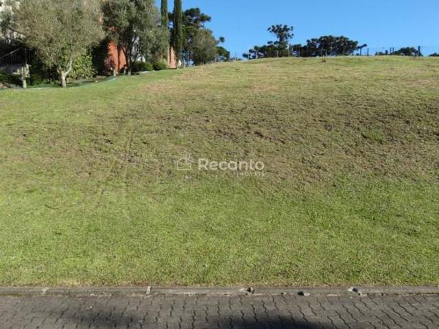 Terreno em Altos Pinheiros, Canela/RS de 795m² à venda por R$ 2.000.000,00