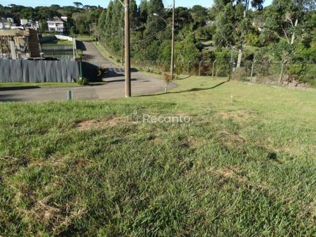Terreno em Altos Pinheiros, Canela/RS de 1295m² à venda por R$ 2.400.000,00