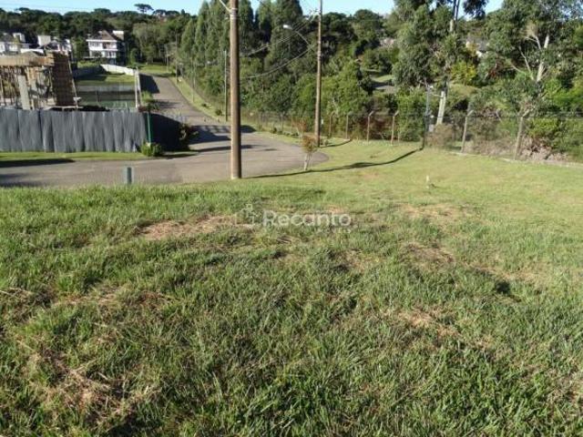 Terreno em Altos Pinheiros, Canela/RS de 1295m² à venda por R$ 2.400.000,00