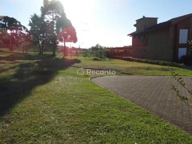 Terreno em Altos Pinheiros, Canela/RS de 1976m² à venda por R$ 3.000.000,00