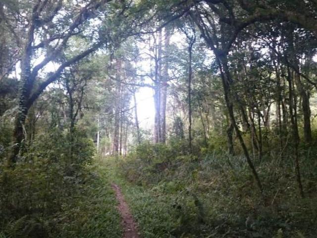 Terreno em Ana Rech