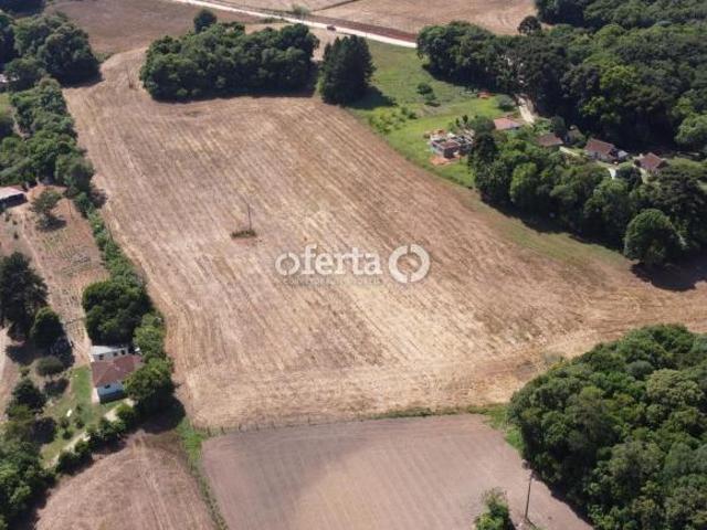 Terreno em Araucária