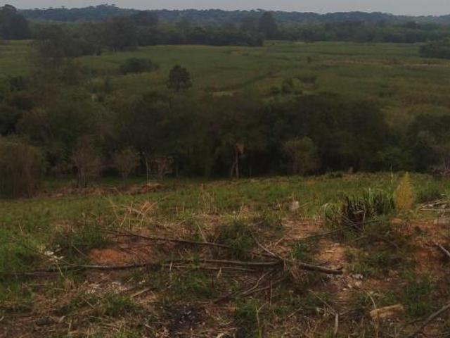 Terreno em Araucária 10% de entrada Ultimas Unidades oportunidae unica