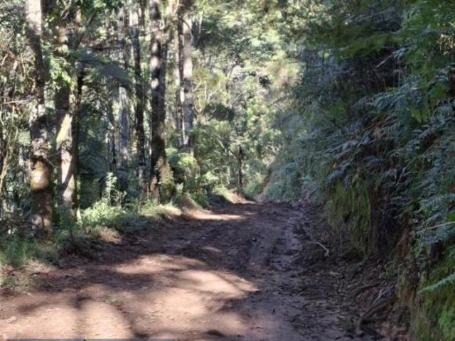 Terreno em Área rural no Distrito do Costas próximo a Gonçalves MG