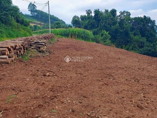 Terreno em área rural no interior de Nova Petrópolis. Matrícula em dia