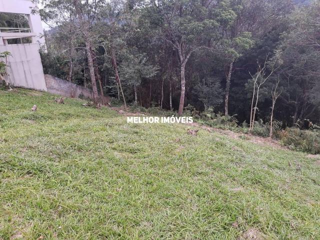 Terreno em Ariribá, Balneário Camboriú/SC de 600m² à venda por R$ 2.999.000,00