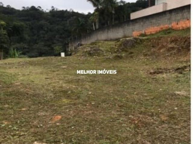 Terreno em Ariribá, Balneário Camboriú/SC de 700m² à venda por R$ 3.499.900,00