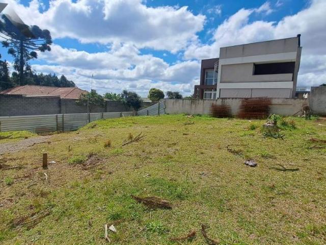 Terreno em Butiatuvinha, Curitiba/PR de 990m² à venda por R$ 1.199.000,00