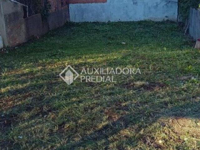 Terreno em bairro urbanizado próximo da Protásio Alves
