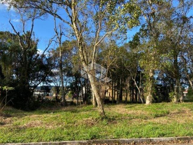 Terreno em bairro nobre