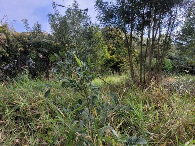 Terreno em bairros do Carmo Canguera, São Roque/SP de 0m² à venda por R$ 450.000,00