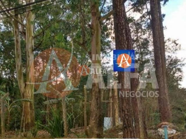 Terreno em bairros do Tijuco Preto, Cotia/SP de 650m² à venda por R$ 599.900,00