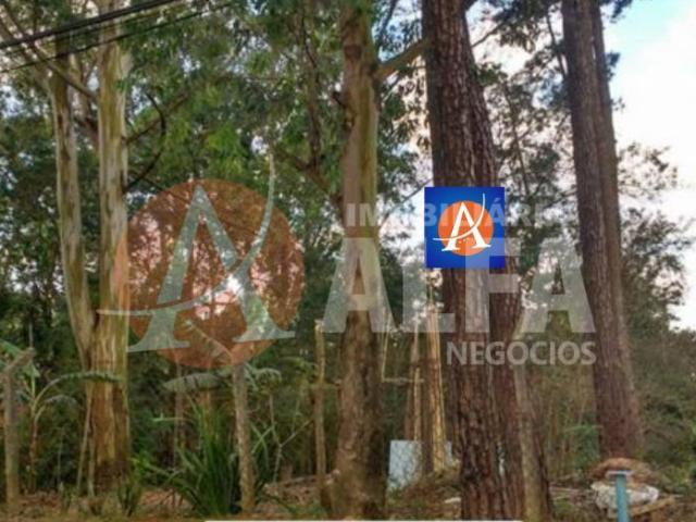 Terreno em bairros do Tijuco Preto, Cotia/SP de 650m² à venda por R$ 599.000,00