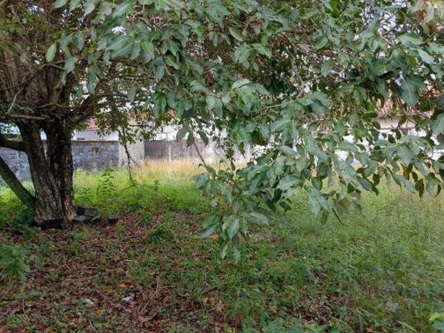 Terreno em Balneário Maracanã, Praia Grande/SP de 374m² à venda por R$ 650.000,00