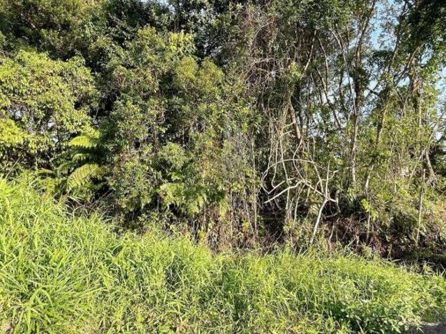 Terreno em Balneário Nereidas Guaratuba