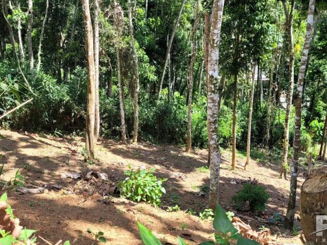 Terreno em Barra do Imbuí, Teresópolis/RJ de 1207m² à venda por R$ 289.900,00