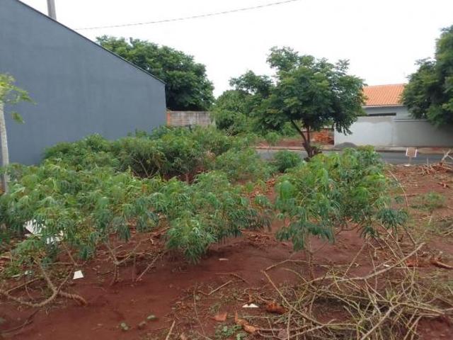 Terreno em Bela Vista do Paraíso
