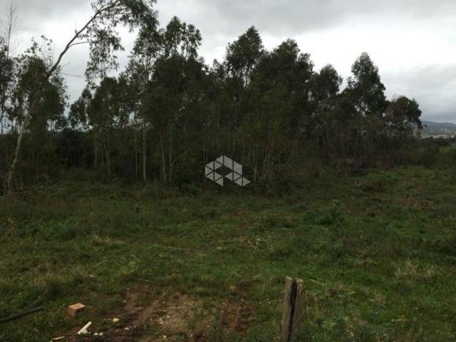 Terreno em Belém Velho com mais de 3 hectares