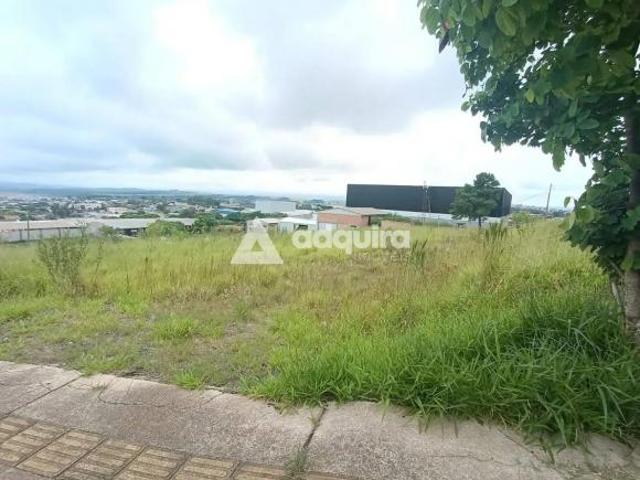 Terreno em Boa Vista, Ponta Grossa/PR de 10m² à venda por R$ 650.000,00