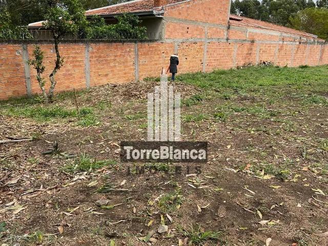 Terreno em Boa Vista, Ponta Grossa/PR de 600m² à venda por R$ 149.000,00
