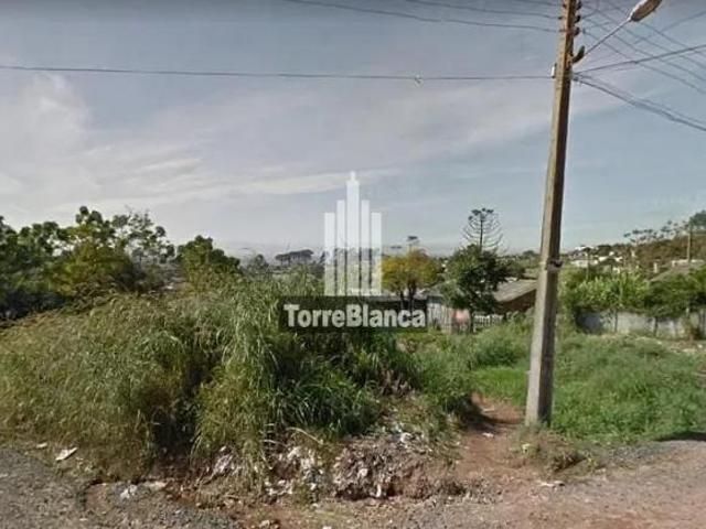 Terreno em Boa Vista, Ponta Grossa/PR de 10m² à venda por R$ 150.000,00