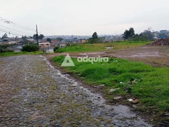 Terreno em Boa Vista, Ponta Grossa/PR de 10m² à venda por R$ 3.499.900,00