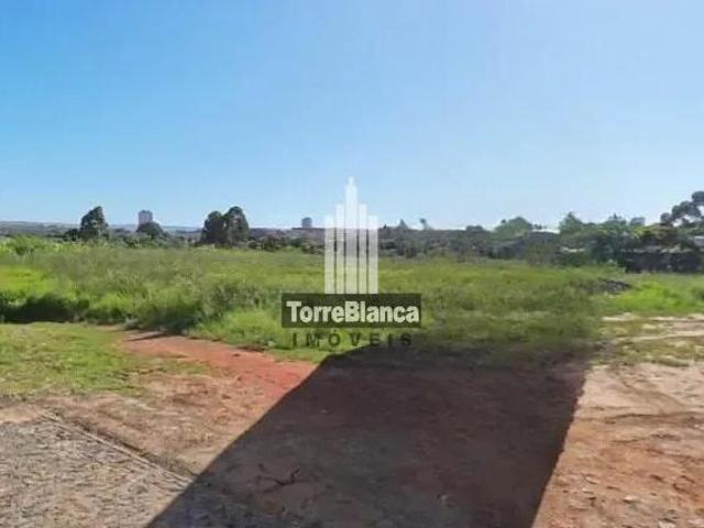 Terreno em Boa Vista, Ponta Grossa/PR de 10m² à venda por R$ 3.500.000,00