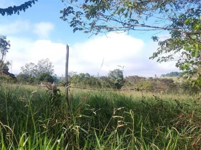 TERRENO EM BOFETE SP. CAMPO ALEGRE 1 20.000M2 COM RIACHO PASSANDO NA DIVISA EXCELENTE LOCALIZAÇÃO